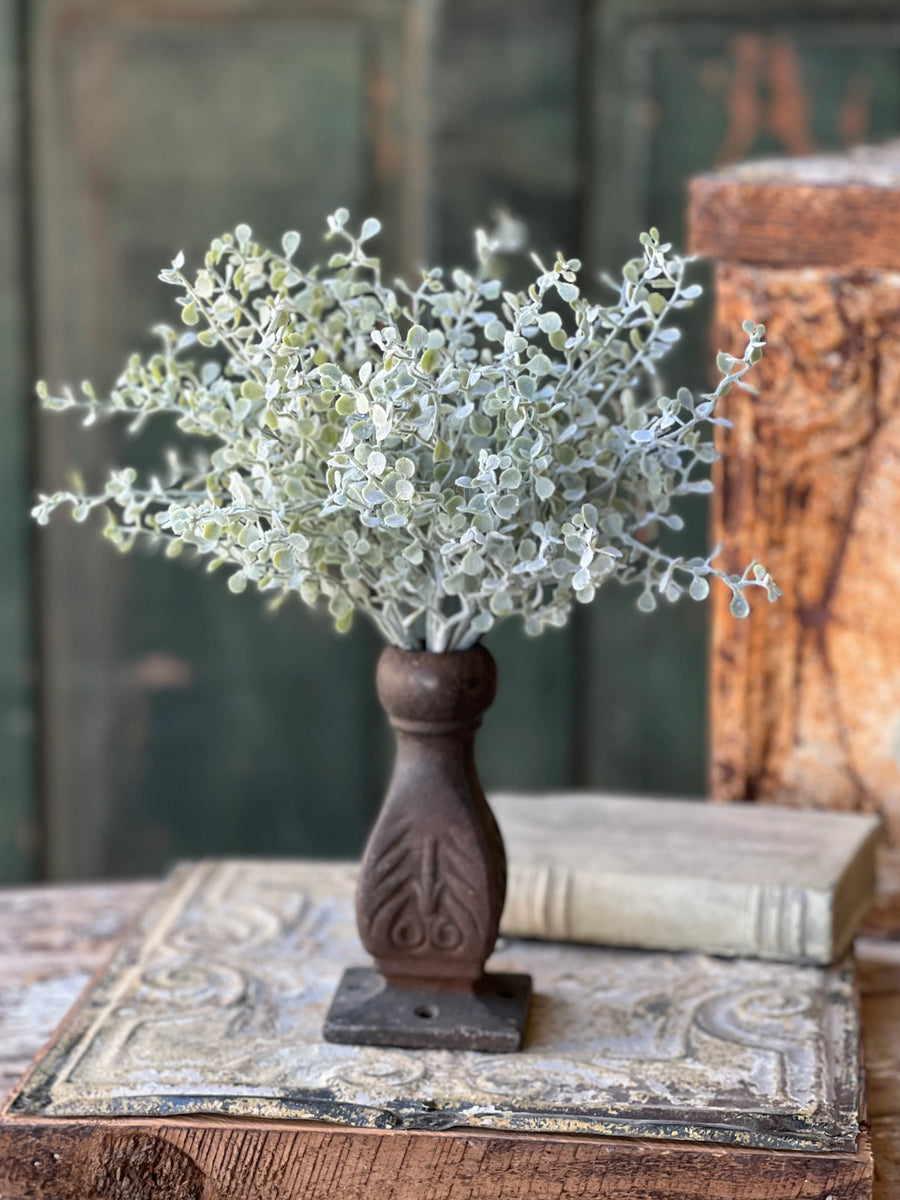 Compass Vine Bush – Lily and Sparrow