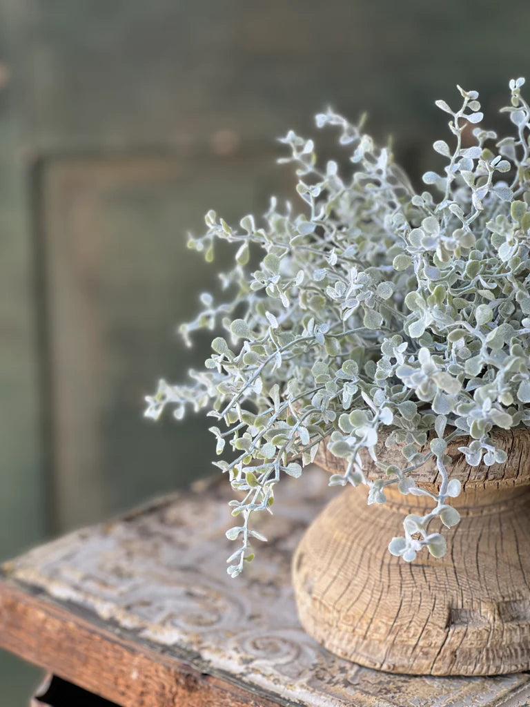 Compass Vine Half Sphere – Lily and Sparrow