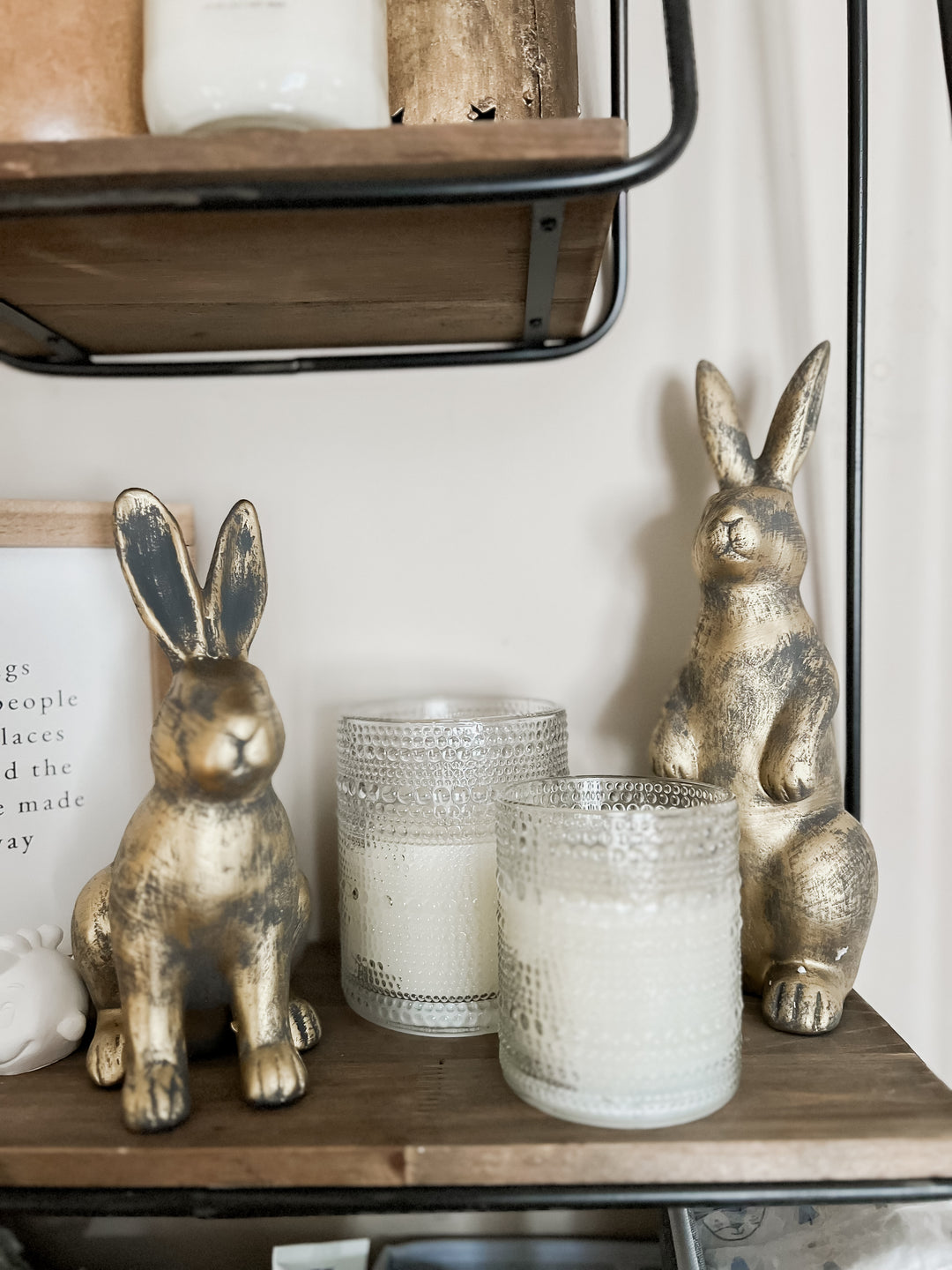 Spring Collection – Lily and Sparrow