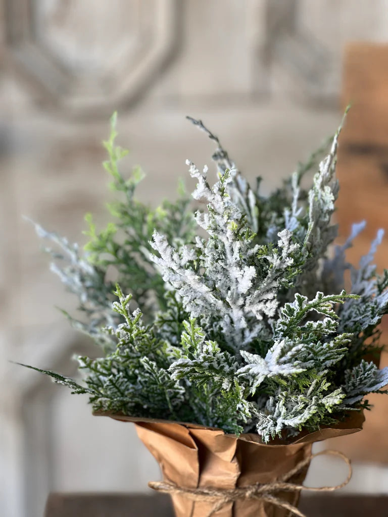 Cypress Snowy Pot – Lily and Sparrow